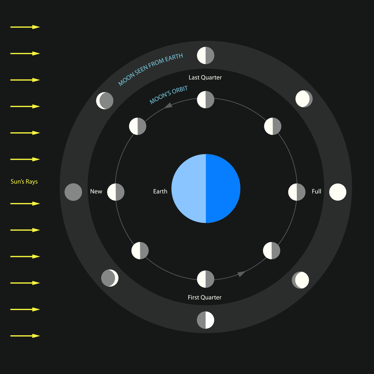 Observatory Data Visualizations — DRAFT - C&G Partners