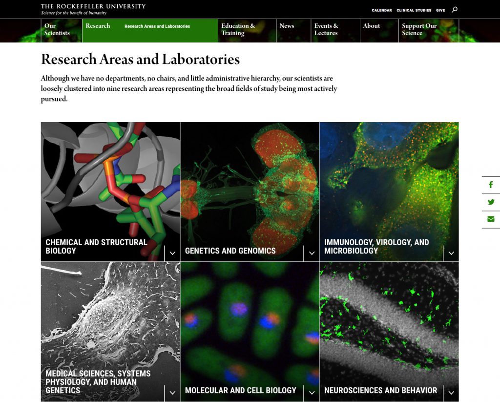 Colors of Science - C&G Partners