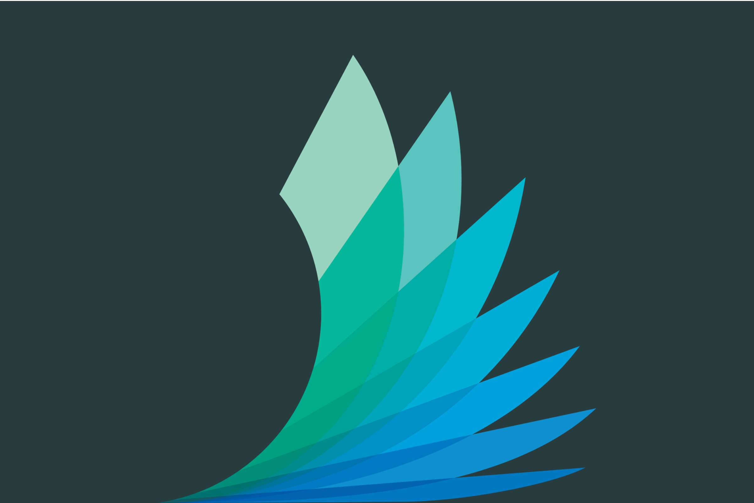 Darien Library Identity - DRAFT - C&G Partners