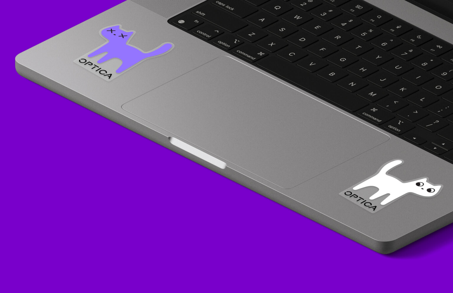 Opticat! - C&G Partners